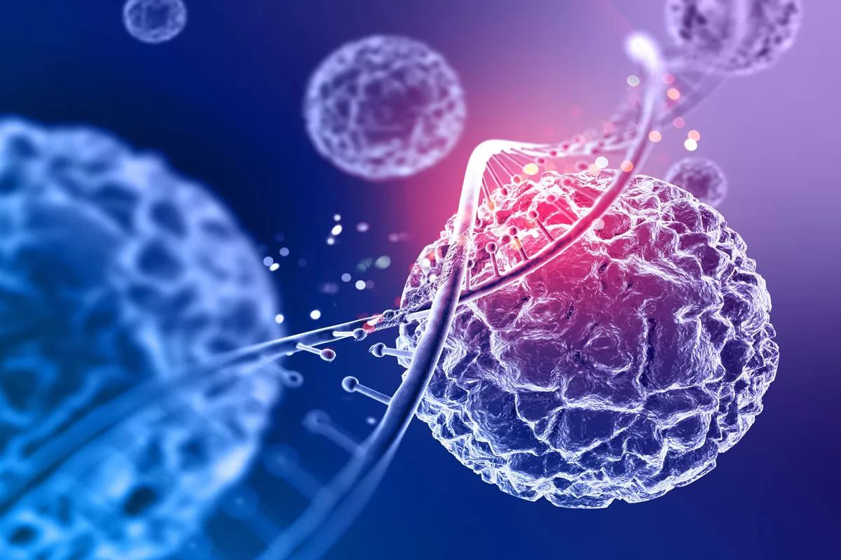 Manfaat Puasa untuk Membentuk Sistem Autophagy dan Mencegah Timbulnya ...